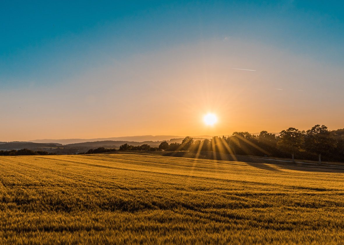 GRDC Grains Research Update, Cleve SA - ORM