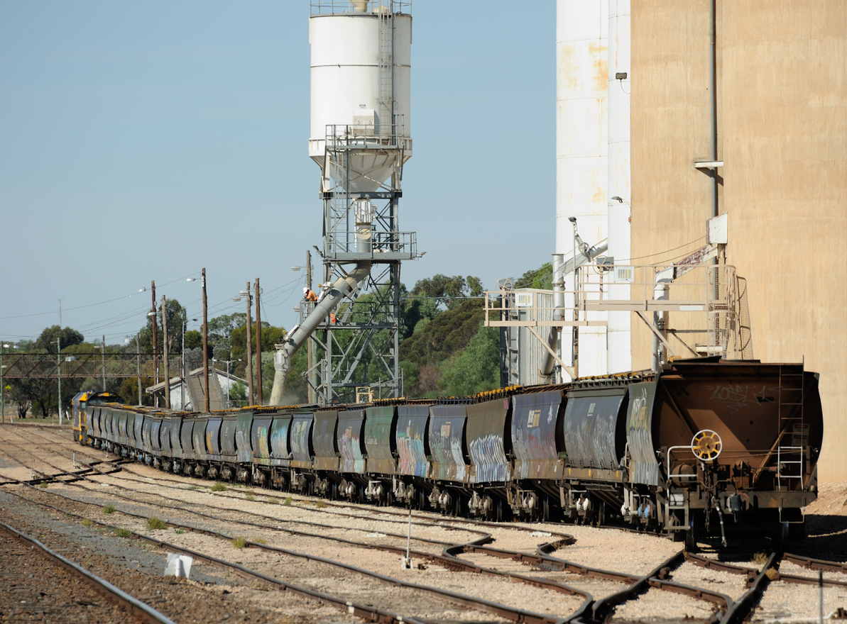 On-farm grain storage options - ORM