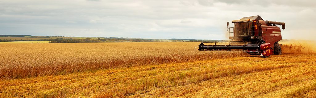 GRDC Grains Research Update, Murray Bridge SA - ORM
