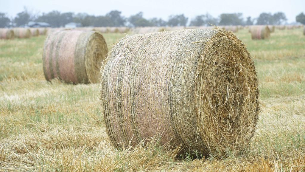 Why gross margins don't always tell the whole tale - ORM