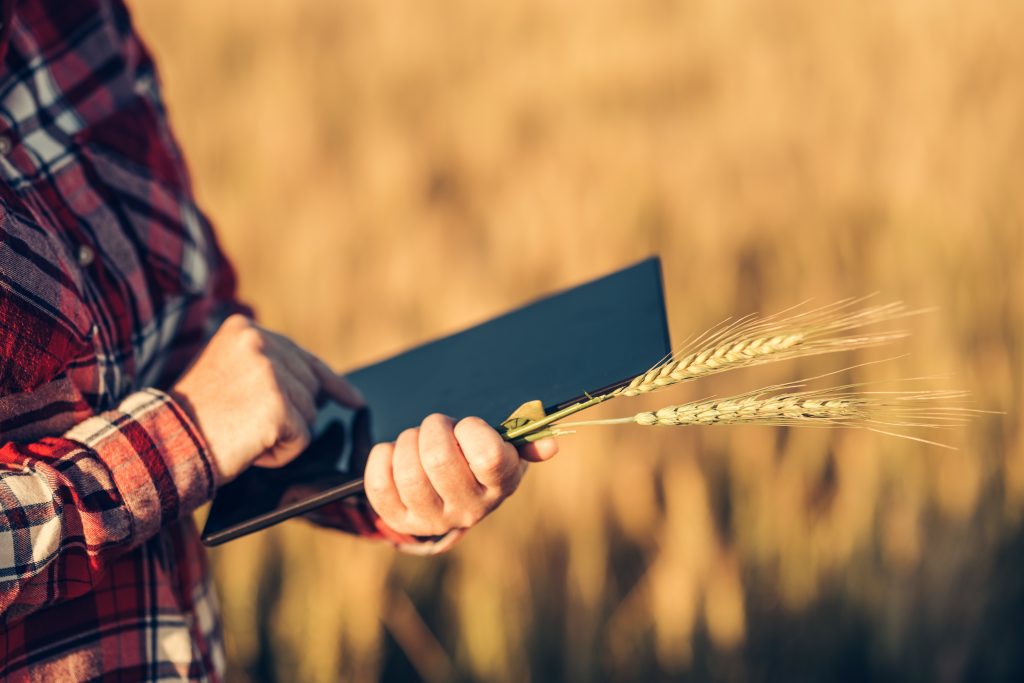 GRDC Farm Business Update, Kadina SA - ORM
