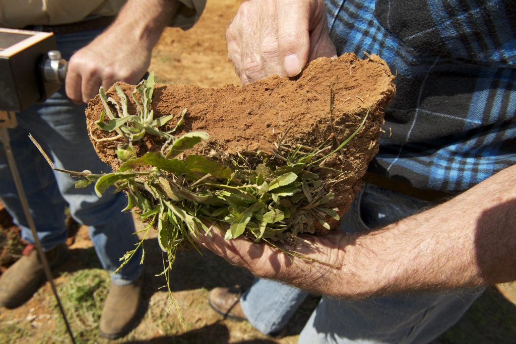 GRDC Grains Research Update, online - Strategies for Predicta B testing ...